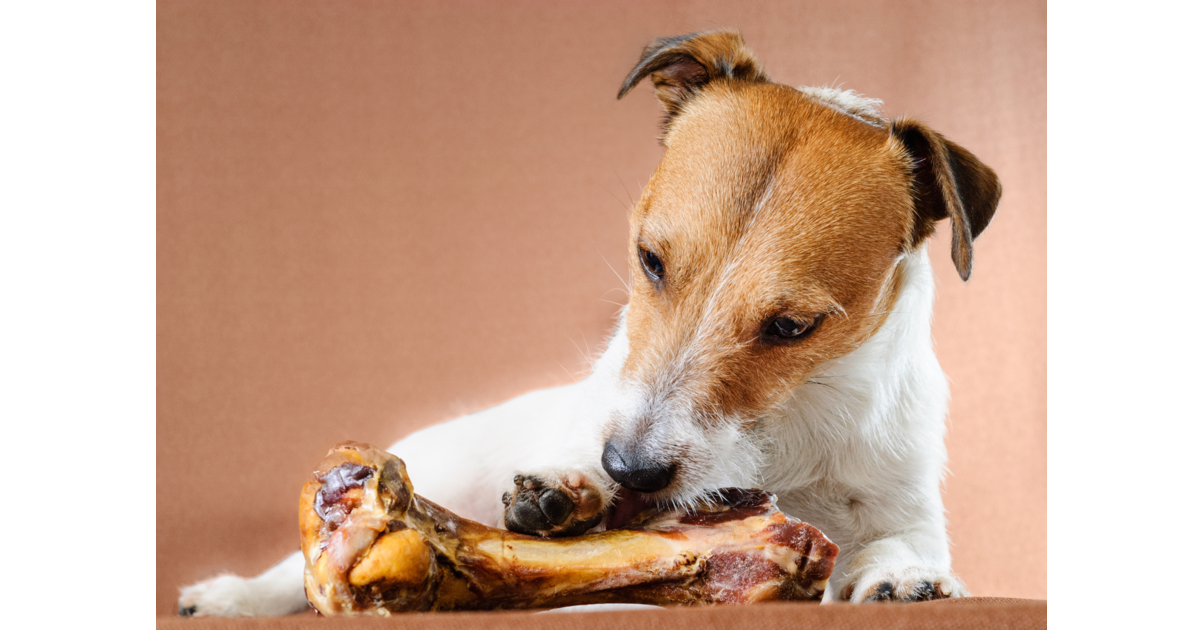Os pour chiens – Os avec viande, fumés ou fourré