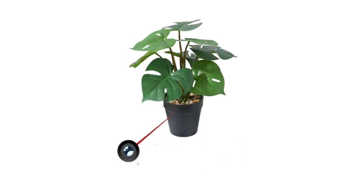 4K UHD Spy Camera in Artificial Plant - Europe Connection
