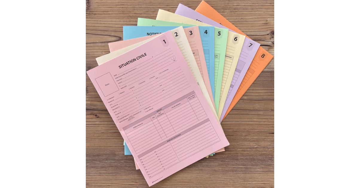 Lot de 8 sous-chemises pour dossier individuel d'agent - Formulaires et ...