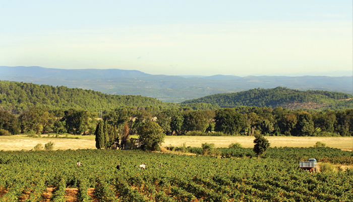DOMAINE DU GRAND MOULIN (LANGUEDOC) - Les Vins Brunin-Guillier