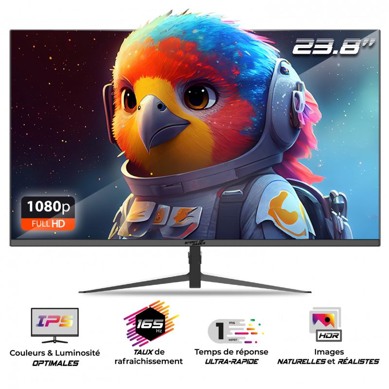 Ecran pc SPIRIT of GAMER Epic 24" HDMI DP 165Hz - infinytech-reunion
