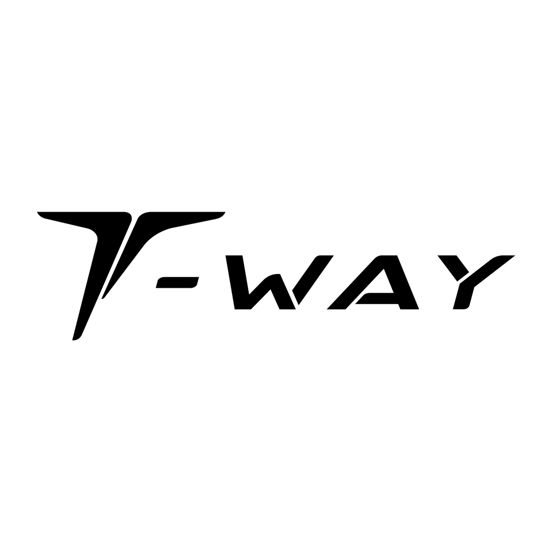 Stickers Iveco T Way logo - Autocollant Camion et poids lourd