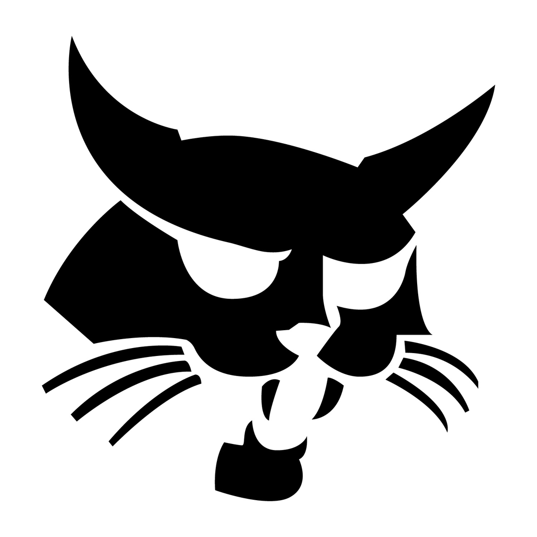 Stickers Bobcat logo - Autocollant Engins de chantier / travaux