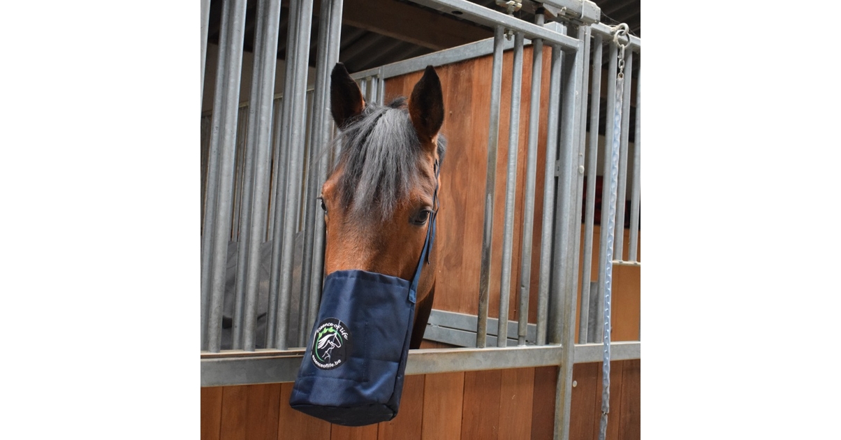 Mask-EOL - masque pour inhalation - Aliments Complémentaires ...