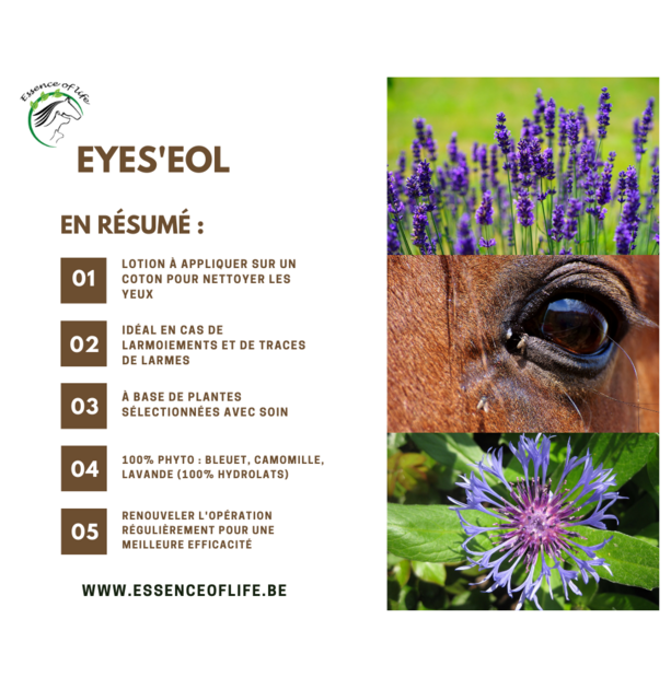 Eyes'eol 200ml - Soins/Pharmacie - sellerie-de-peruwelz