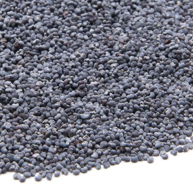 Graines de pavot bleu - Achat, recettes, propriétés santé et histoire
