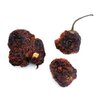 Piment Carolina Reaper entier - Achat et utilisation - MesÉpices.com