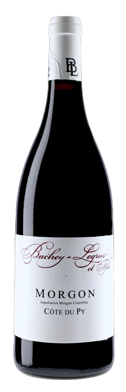 AOC Morgon Côte du Py - Rouge - 2021 - Domaine Bachey-Legros