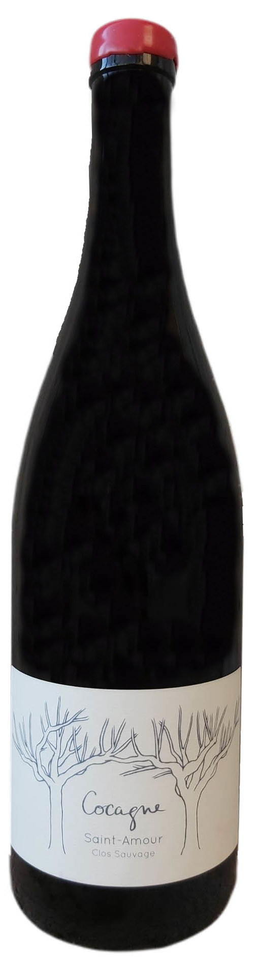 Acheter Saint-Amour - Cocagne - Rouge - 2024 - Clos Sauvage
