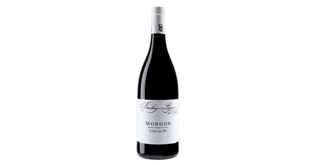 AOC Morgon Côte du Py - Rouge - 2021 - Domaine Bachey-Legros