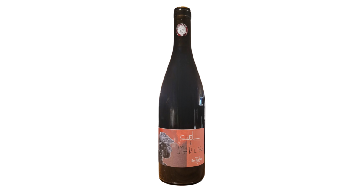 AOC Savoie "Sel de Marius" - Rouge - 2024 - Berthollier