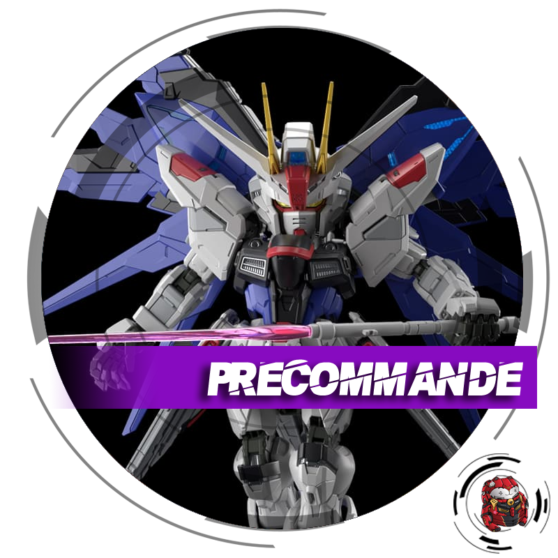 GUNPLA 1/100 - MASTER GRADE SD [MGSD] - gunpla-shop