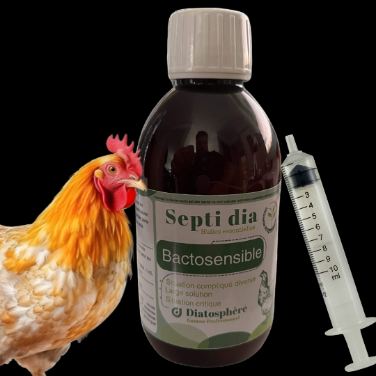 UNIVERS BACTÉRIES - Diatosphere