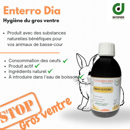 Enterro Dia Lapin – Solution Naturelle Contre Ventre Gonflé, Diarrhée Et Coccidiose