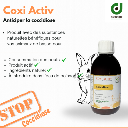 Coxi Activ – Coccidiose Lapin