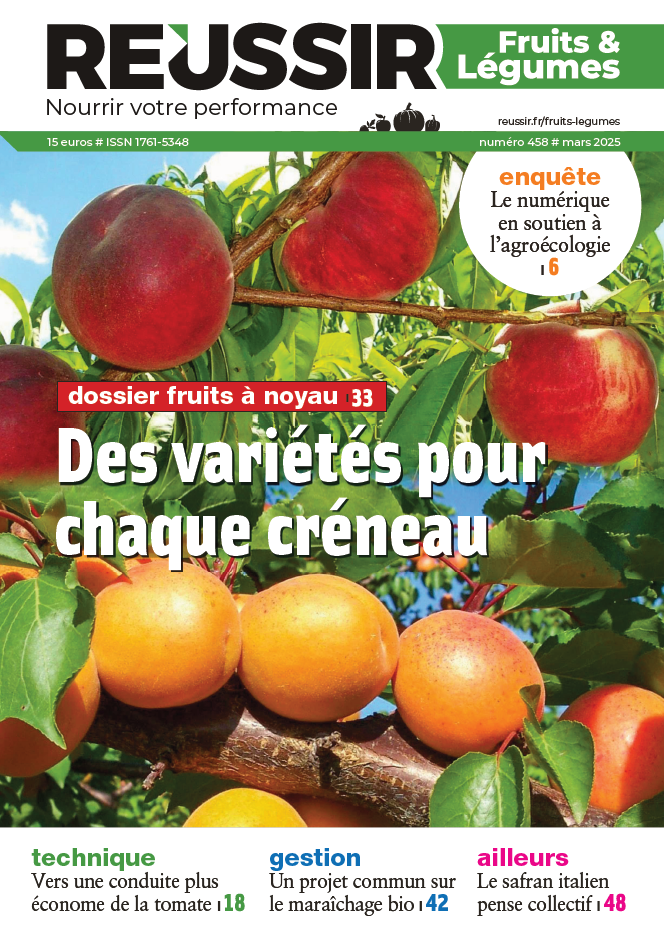 Reussir Fruit Et Legumes