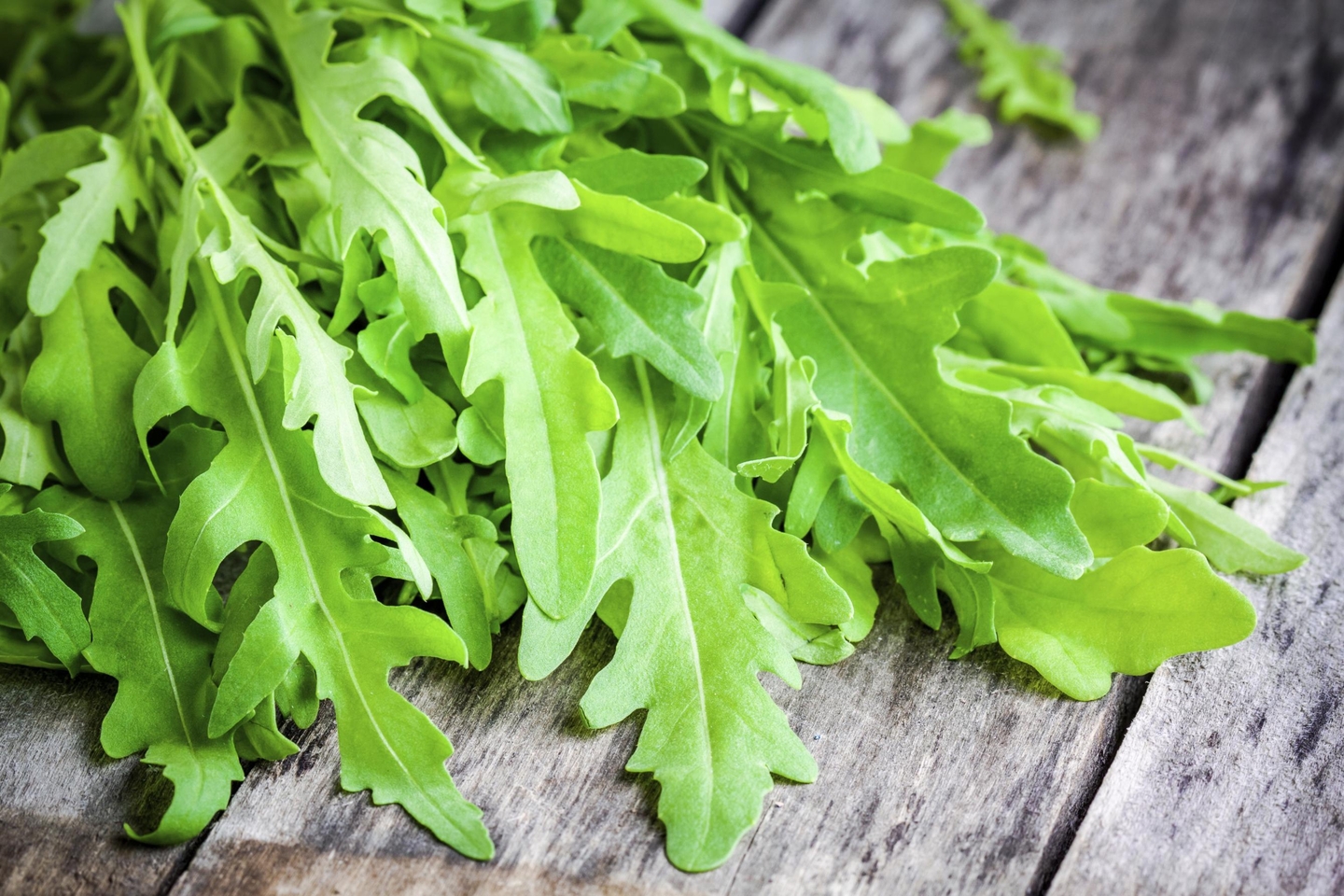 Roquette - Supplément Classique - Pizza Express Thuin