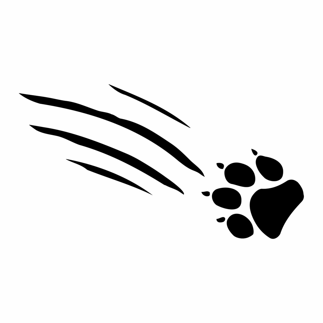 Stickers Griffe Tigre - Autocollant muraux et deco