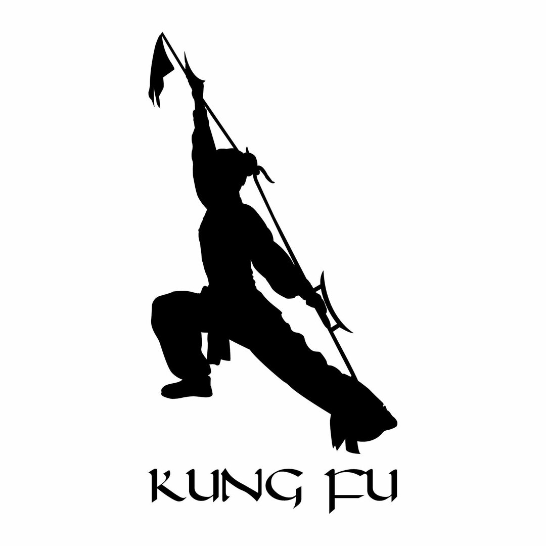 Stickers Kung Fu - Autocollant muraux et deco