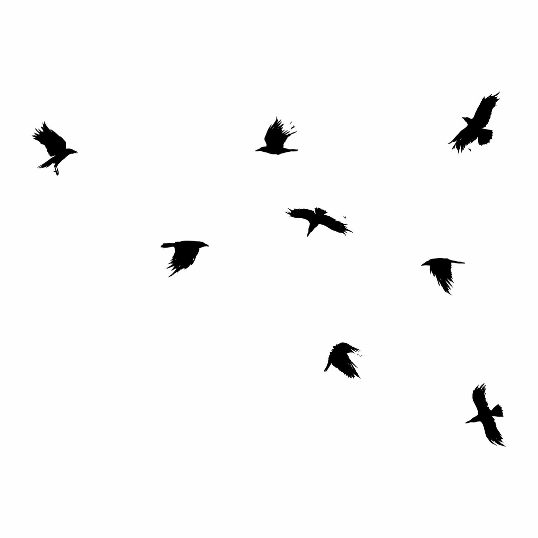 Stickers Corbeau - Autocollant muraux et deco