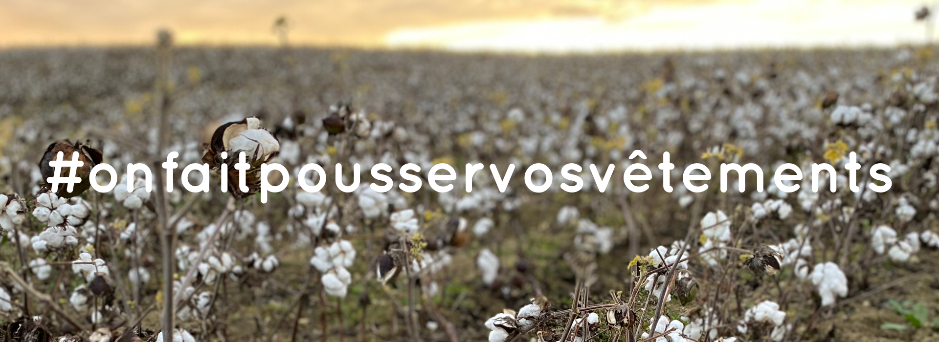 Jean Fil coton de France