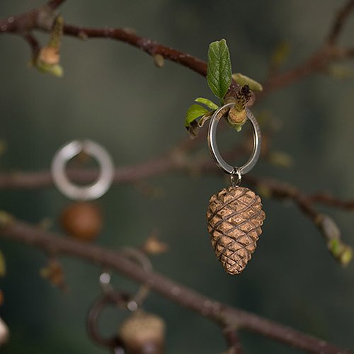 Un classeur à herbier complet avec planches pour recenser les végétaux