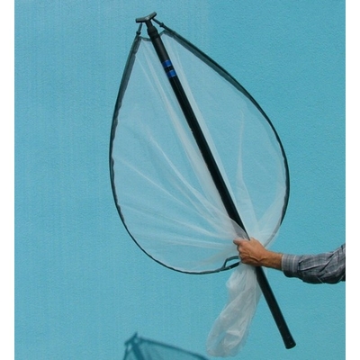 Entomologie - Insectes - Capture - Maunakea