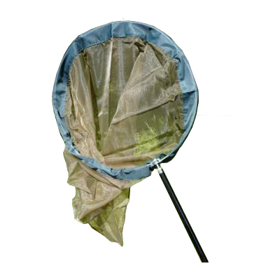 Entomologie - Insectes - Capture - Maunakea