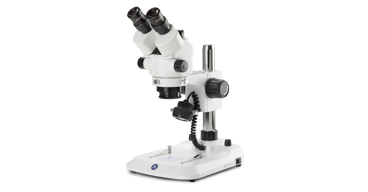 Microscope StereoBlue Zoom trinocular SB.1903-P - Loupes et microscopes ...
