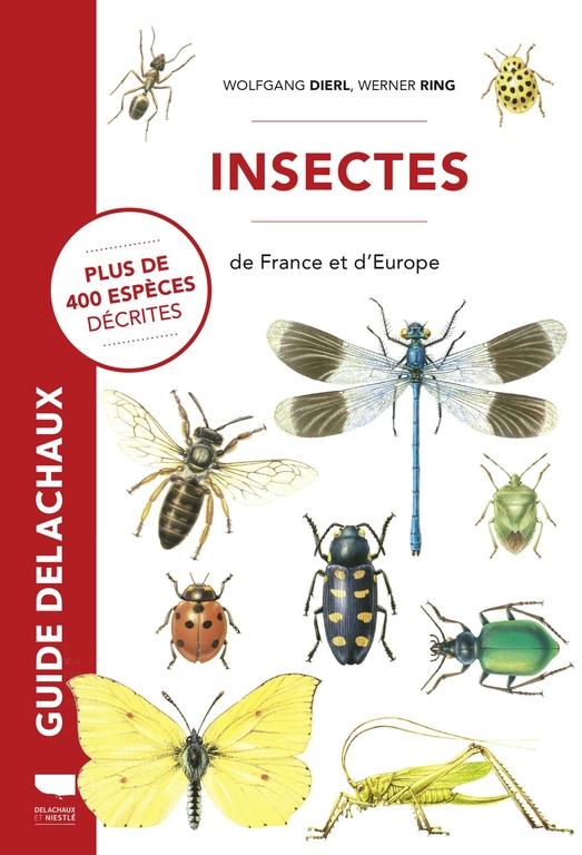 Insectes de France et d'Europe - Faune - Livres/Insectes et autres ...