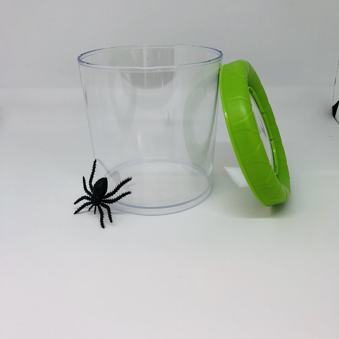 Méga boîte loupe insecte Navir verte - Capture et observation/Boîte ...
