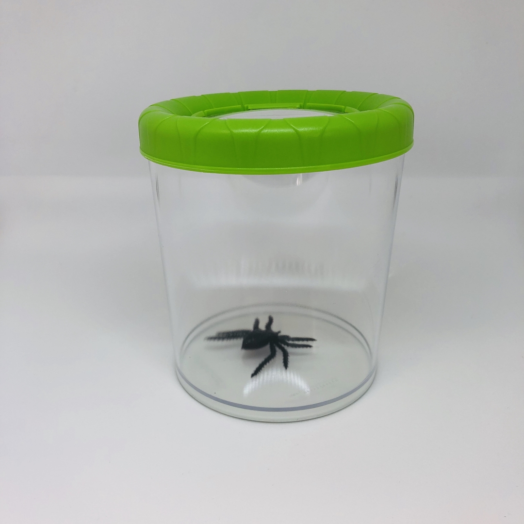 Méga boîte loupe insecte Navir verte - Capture et observation/Boîte ...