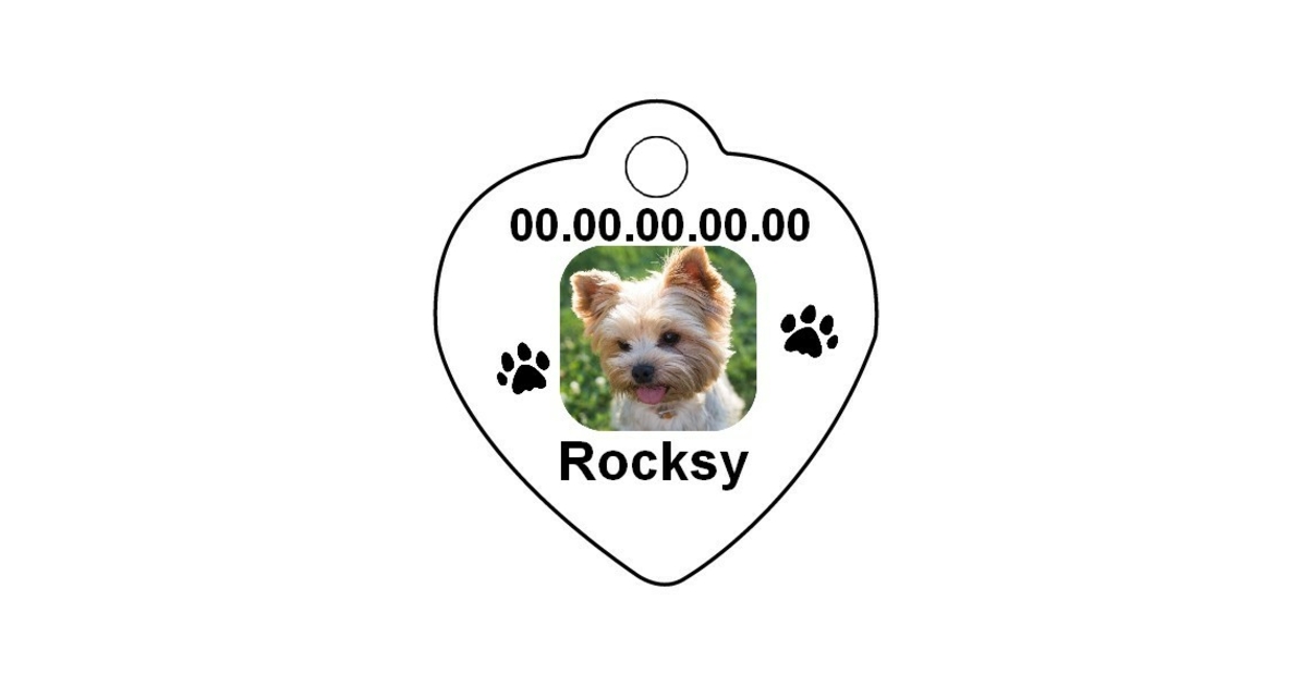 Plaque d'identification personnalisée pour chien, forme coeur avec ...