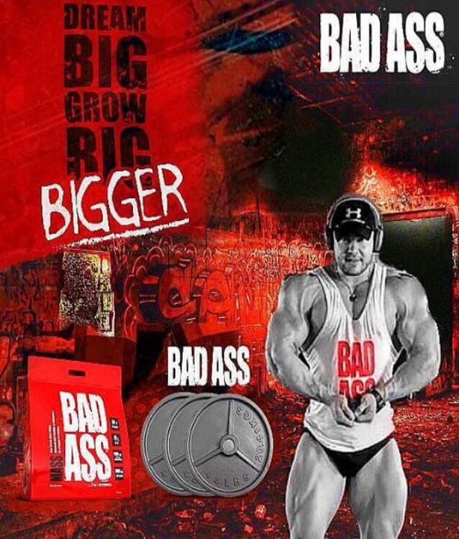 "Unleash Your Beast : Musculation et Fitness au Max"